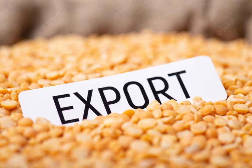 Food Export - Int. Business Consultants | UProDemy